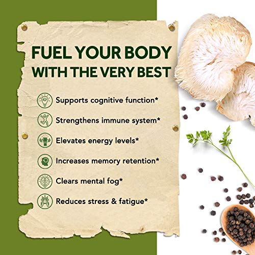 Lion's Mane extract for mental clarity