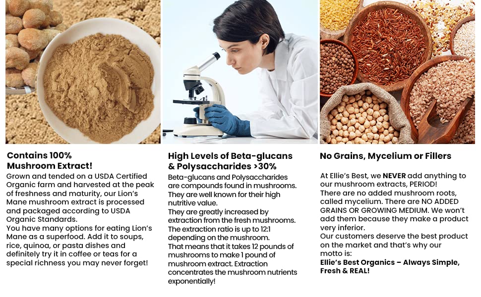 lion's mane extract for mental clarity