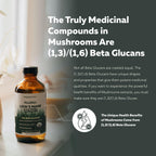 lion's mane extract for overall wellness
