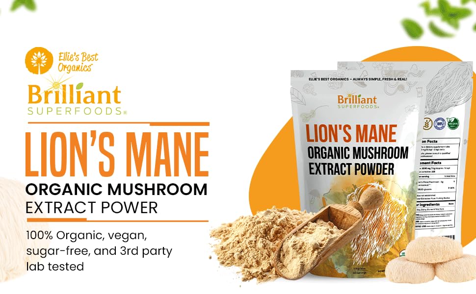 lion's mane extract for overall wellness