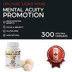 lion's mane extract for wellness