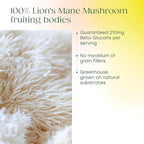 lion's mane for better concentration
