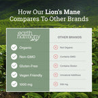 lion's mane for brain health