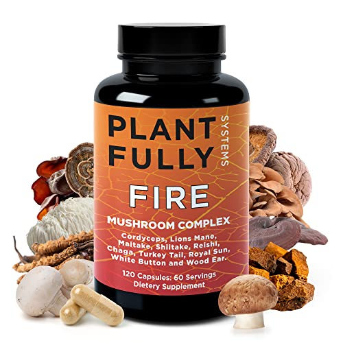 Lion's Mane for brain support