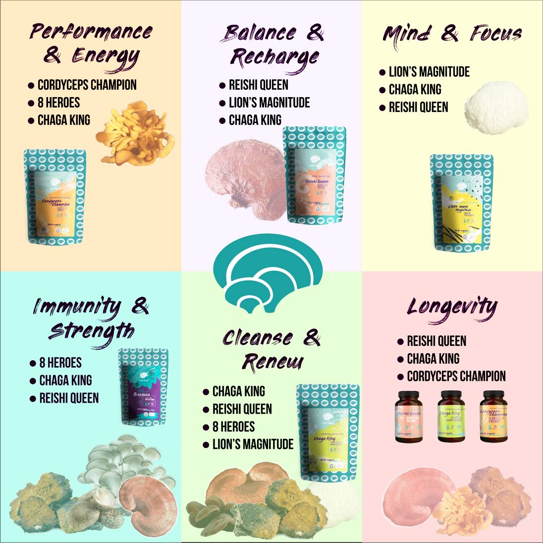 Lion's Mane for cognitive enhancement
