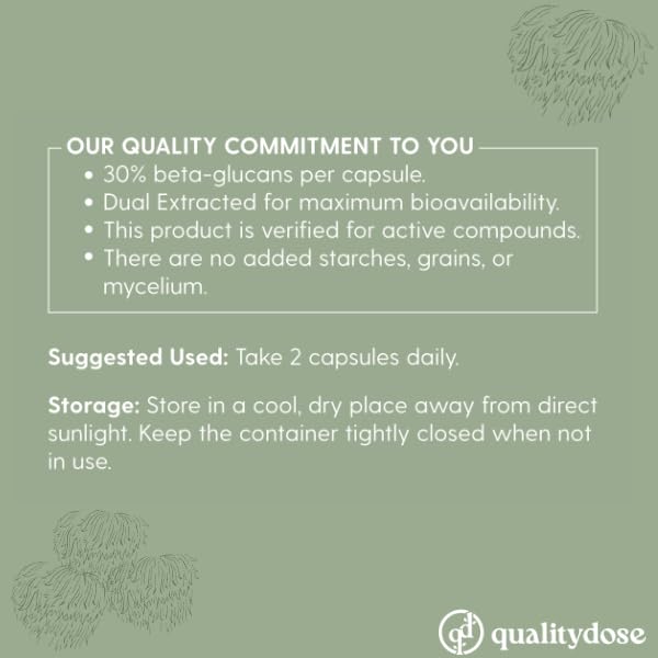 Lion's Mane for cognitive enhancement