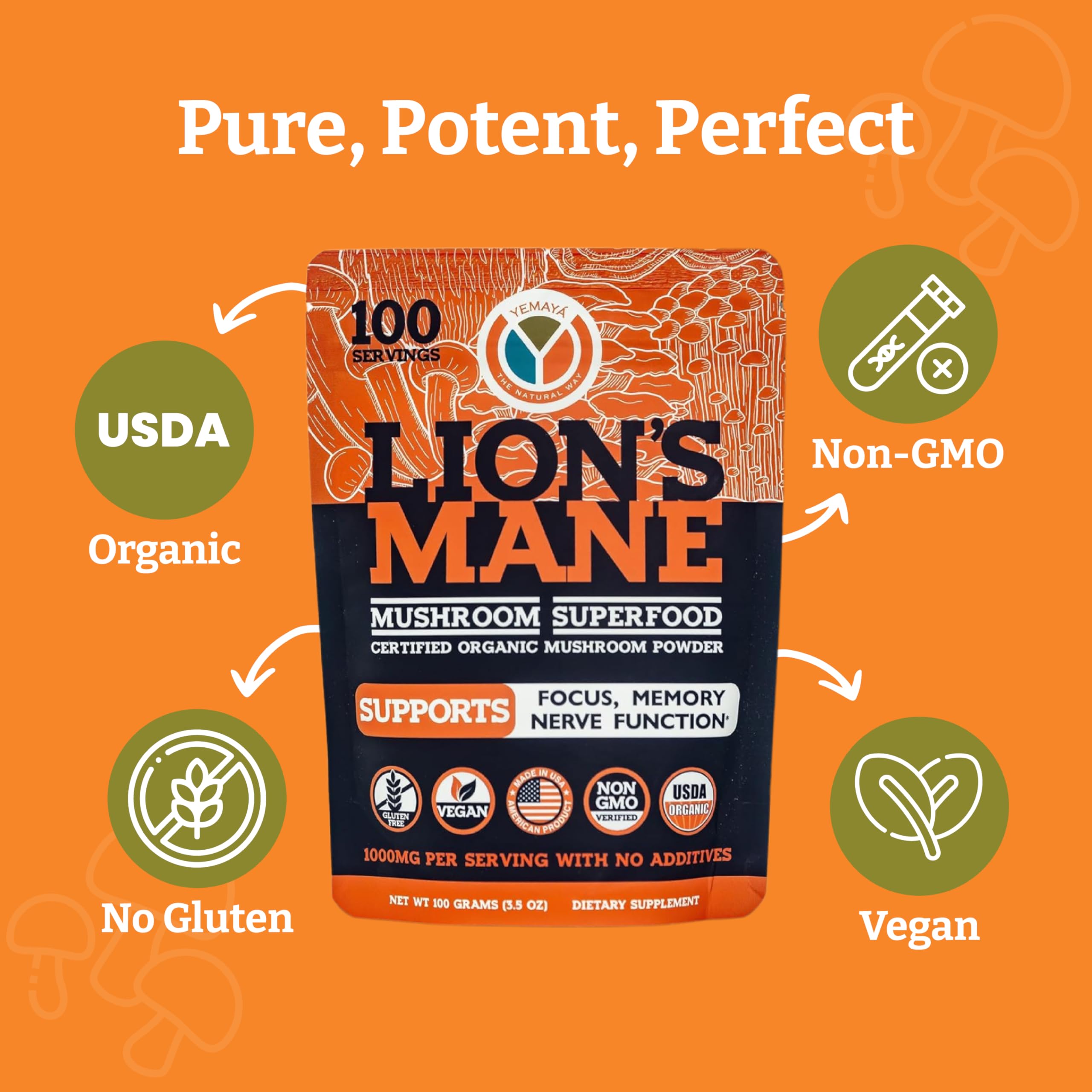 lion's mane for cognitive function