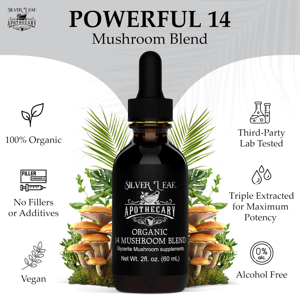 Lion's Mane for cognitive health