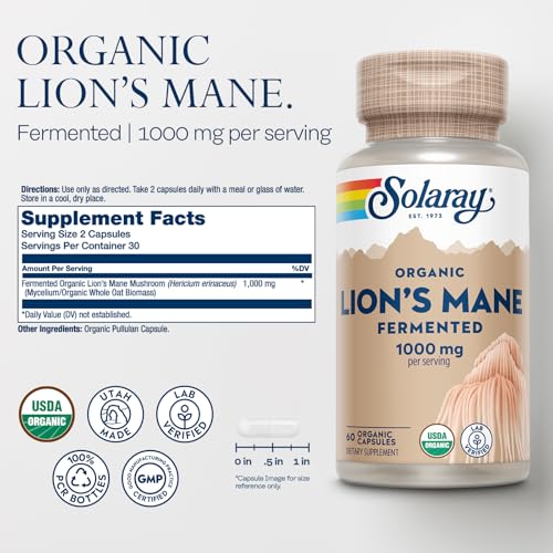 lion's mane for cognitive support