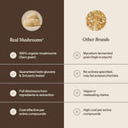 lion's mane for cognitive support