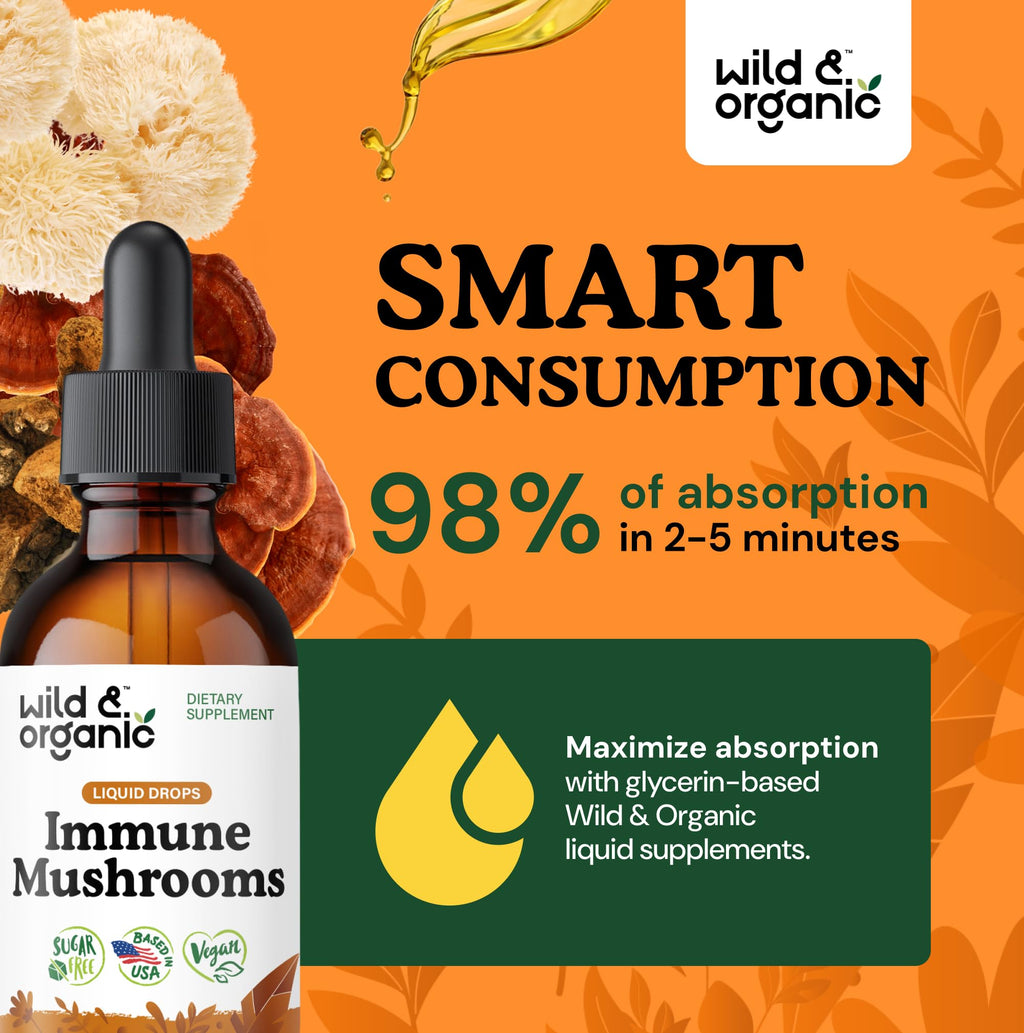Lion's Mane for cognitive support