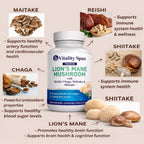 lion's mane for cognitive support