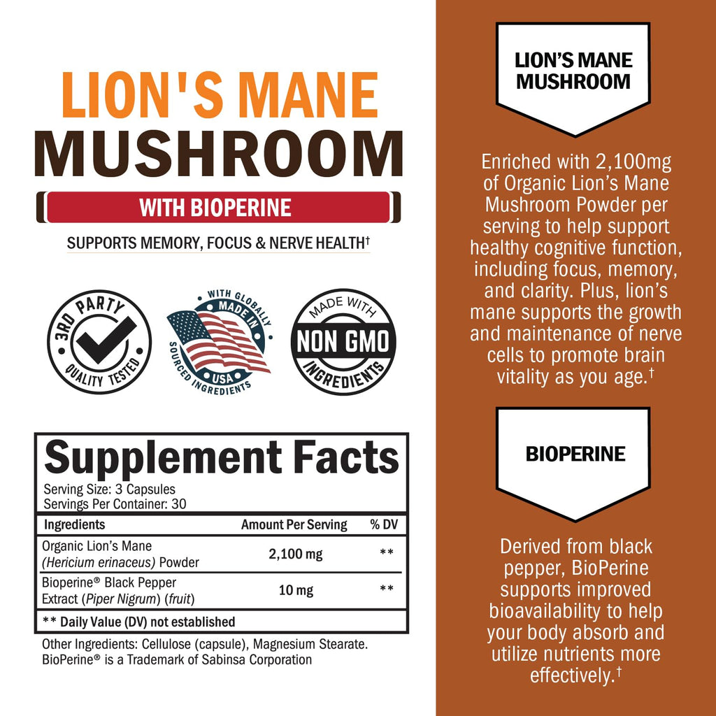 lion's mane for cognitive support