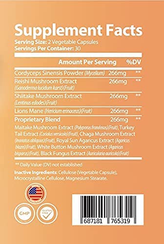 Lion’s Mane for cognitive support