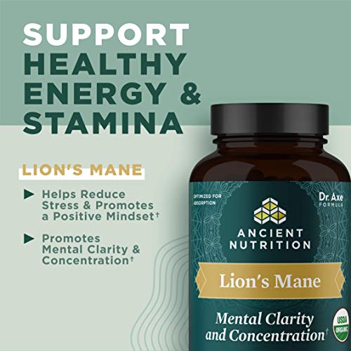 lion's mane for cognitive support