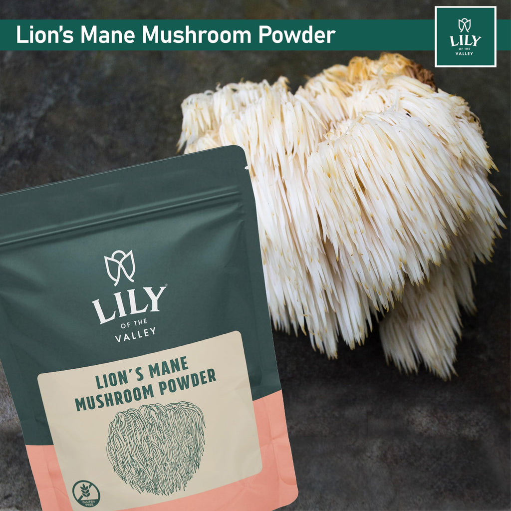 Lion’s Mane for cognitive support