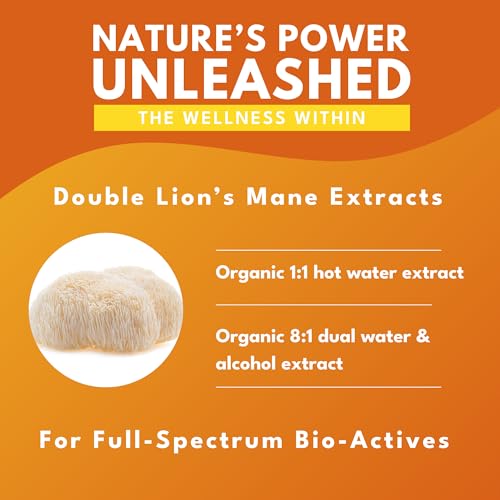 lion's mane for cognitive support