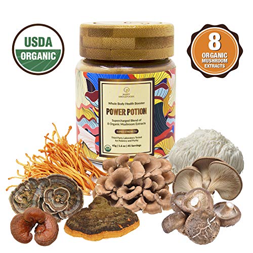 Lion's Mane for cognitive support