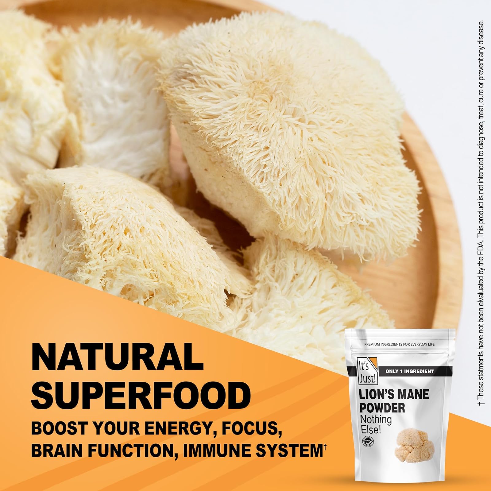 lion's mane for cognitive support