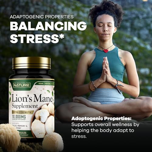 lion's mane for cognitive support