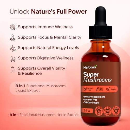 Lion's Mane for cognitive support