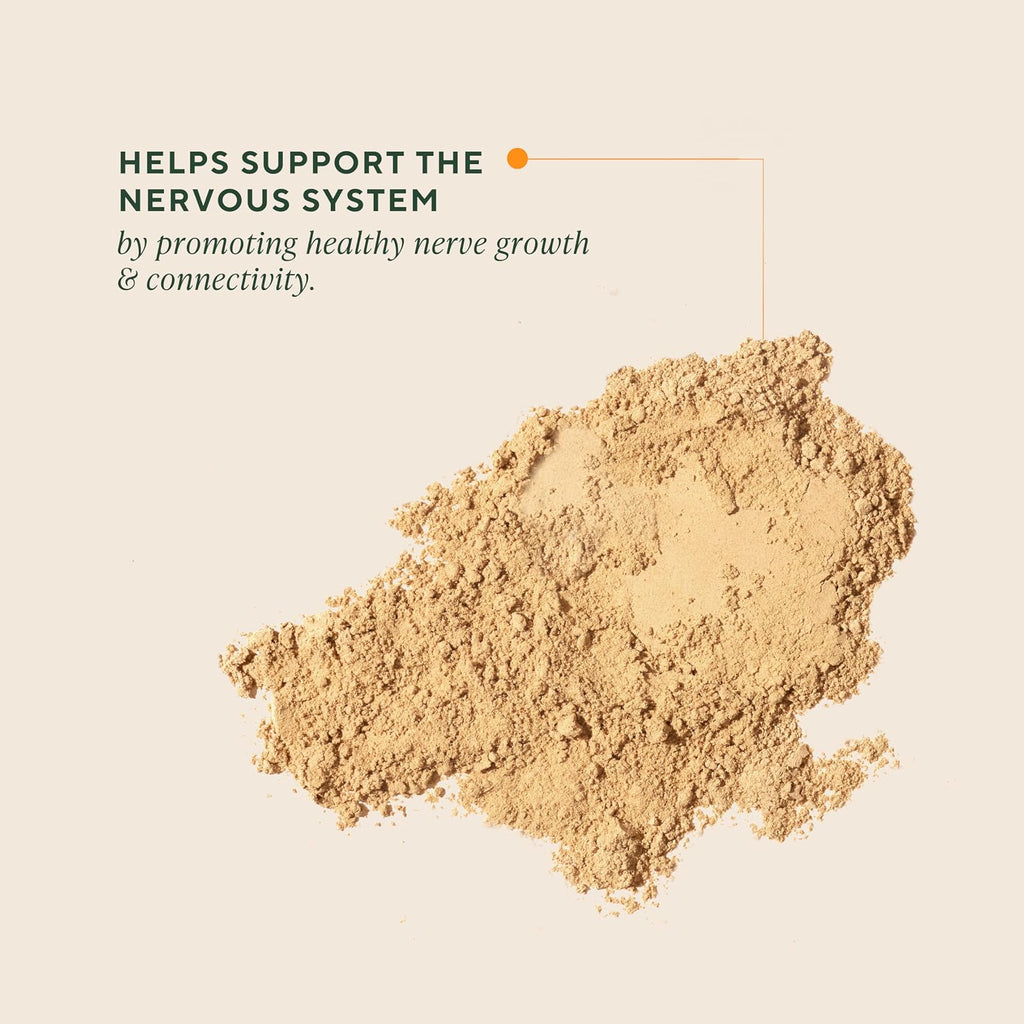 lion's mane for cognitive support