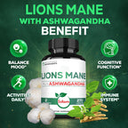 lion's mane for cognitive support