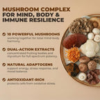 Lion's Mane for cognitive support