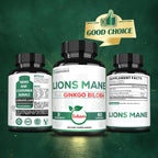 Lion's Mane for enhanced concentration