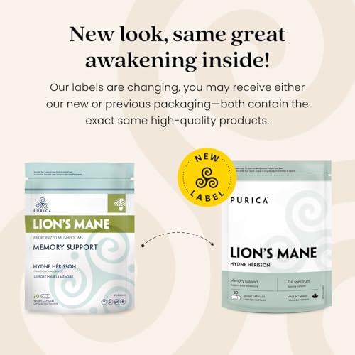 Lion's Mane for enhanced creativity