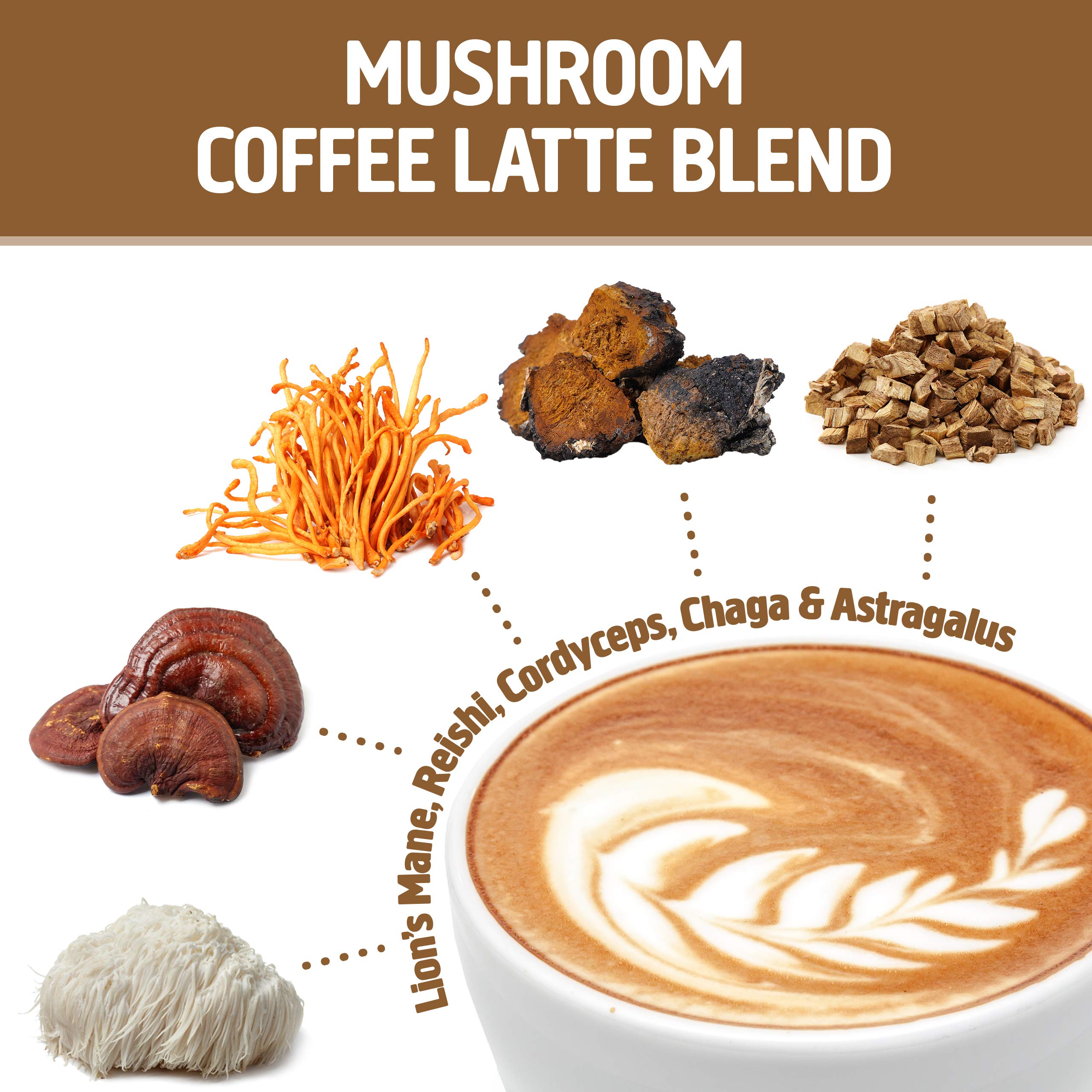 Lion's Mane for focus and energy