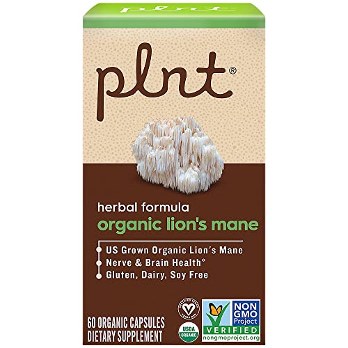 lion's mane for improved focus