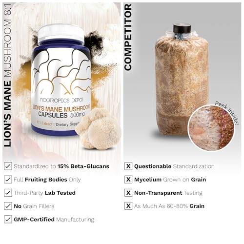 Lion's Mane for memory support