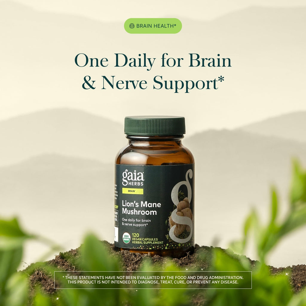 Lion's Mane for memory support