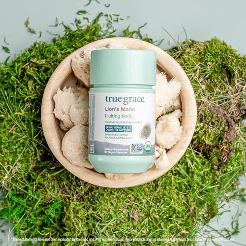 lion's mane for mental clarity and energy
