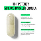lion's mane for mental clarity