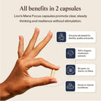 lion's mane for mental clarity