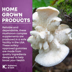 lion's mane for mental clarity