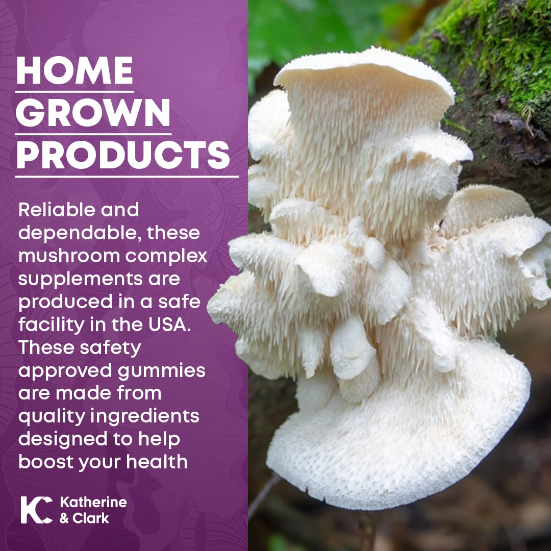 lion's mane for mental clarity