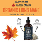 Lion's Mane for mental clarity
