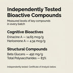 lion's mane for mental clarity