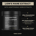 lion's mane for mental clarity