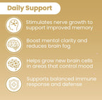 lion's mane for mental clarity