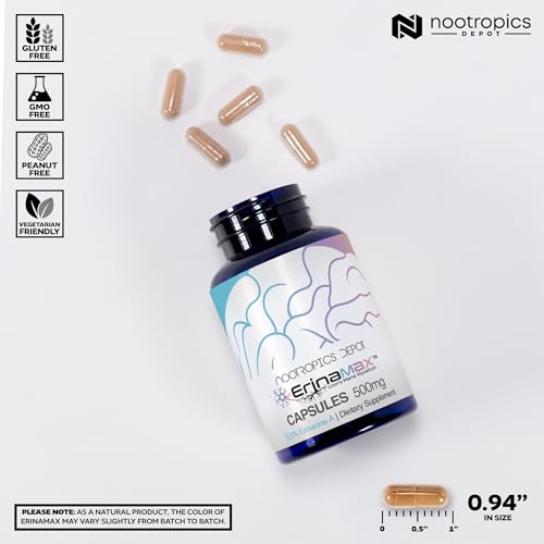 lion's mane for mental clarity