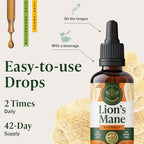 lion's mane for mental clarity