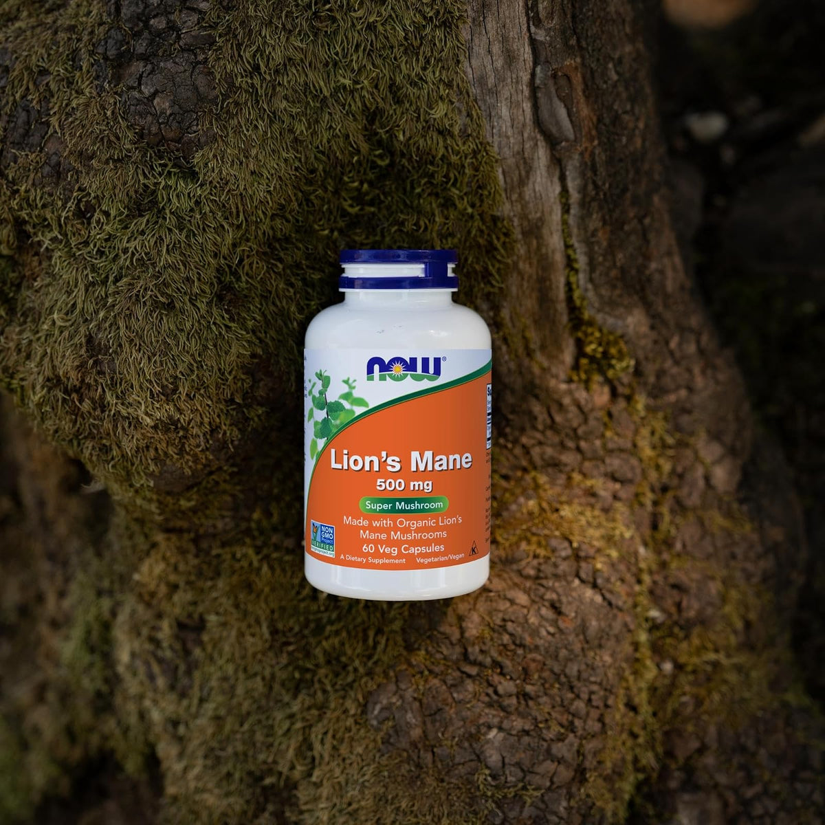 lion's mane for overall wellness