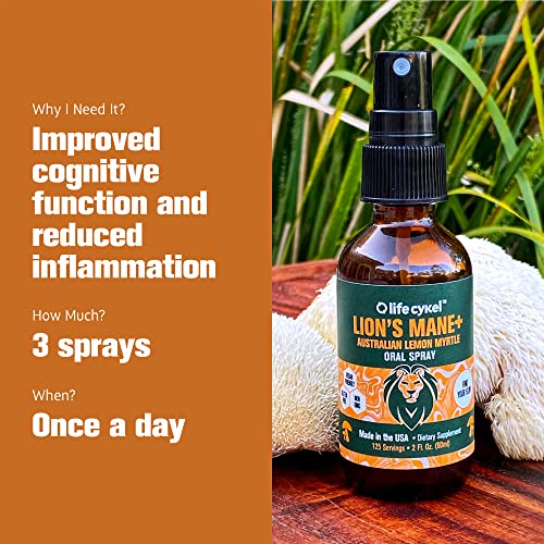 Lion's Mane for stress management