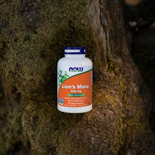 lion's mane for stress relief and balance