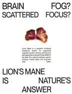 Lion's Mane for stress relief