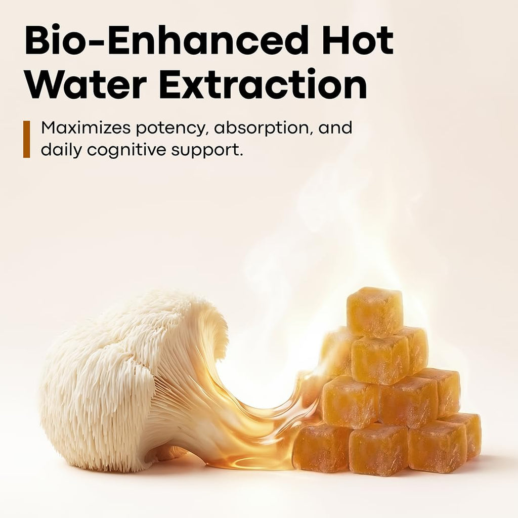 Lion's Mane gummies for cognitive support